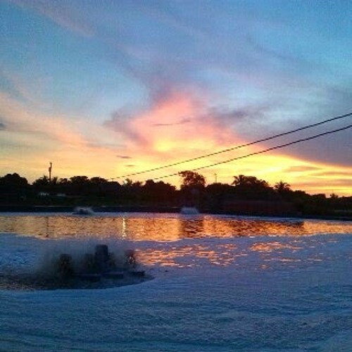 Stream Bryan Fortin music | Listen to songs, albums, playlists for free ...