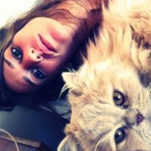 Stream Jessica M Timmer music | Listen to songs, albums, playlists for ...