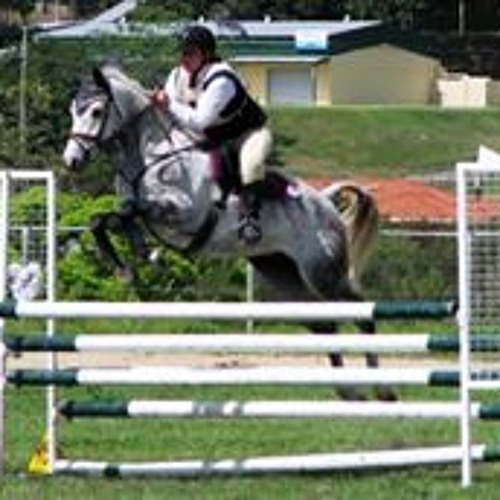 Stream Tracy Ann Hall music | Listen to songs, albums, playlists for ...