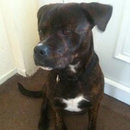 Stream Sasha-Lea Jackson music | Listen to songs, albums, playlists for ...