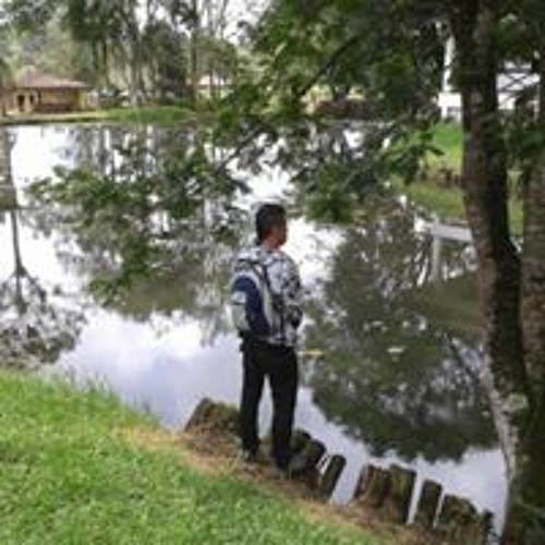 Stream Camilo Cardona music | Listen to songs, albums, playlists for ...