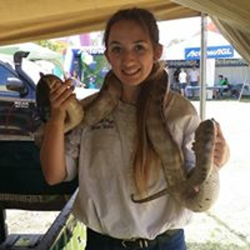 Stream Evie Hall music | Listen to songs, albums, playlists for free on ...