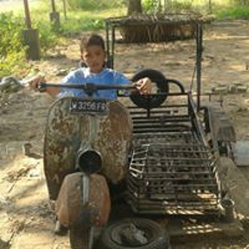 Stream Ari Sandy Krisna Susanto music | Listen to songs, albums ...