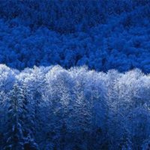 Stream Lau Angus music | Listen to songs, albums, playlists for free on ...