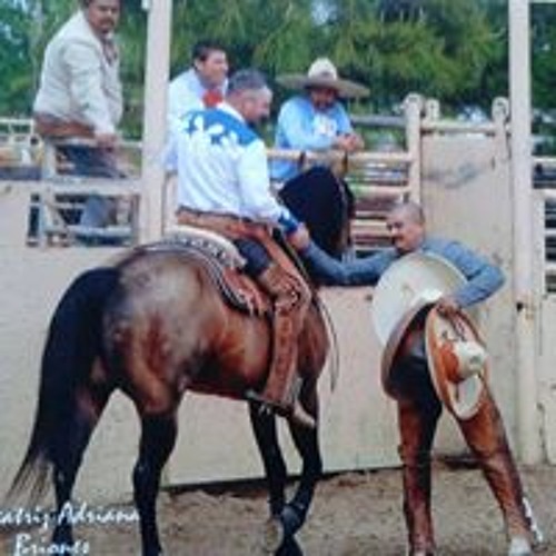 Stream Alfonso Rendon music | Listen to songs, albums, playlists for ...