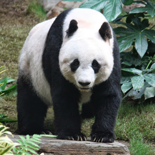 Stream Zach Shaner music | Listen to songs, albums, playlists for free ...