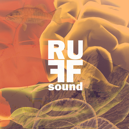 Stream RuffSound music | Listen to songs, albums, playlists for free on ...