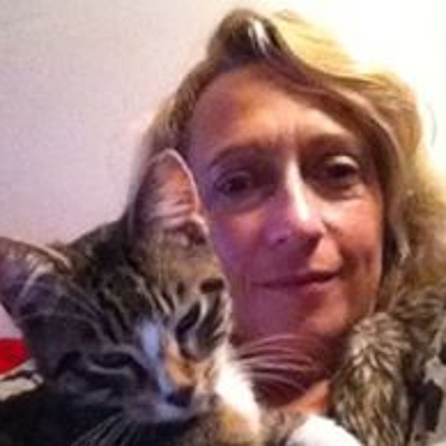 Stream Sylvie Decoster music | Listen to songs, albums, playlists for ...