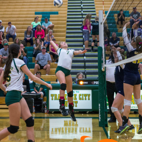 Stream Lexi Peterss. music | Listen to songs, albums, playlists for ...