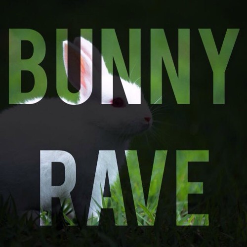 Stream BUNNY RAVE music | Listen to songs, albums, playlists for free ...