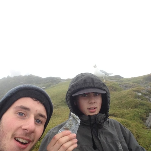 Stream Tufty Tunes Music Listen To Songs Albums Playlists For Free