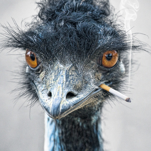 Stream Michi Brown music | Listen to songs, albums, playlists for free ...