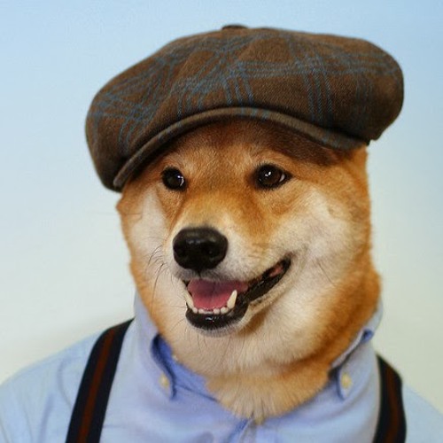 Stream Perro Clucho | Listen to hey b0ss playlist online for free on ...