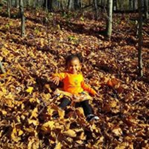 Stream Erica Lee Berryman music | Listen to songs, albums, playlists ...