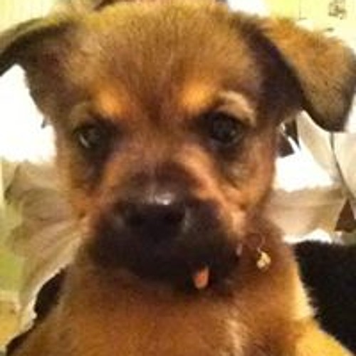 Stream Dan Burdett music | Listen to songs, albums, playlists for free ...