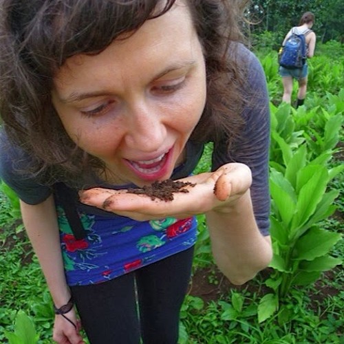 Stream Alissa Fields music | Listen to songs, albums, playlists for ...