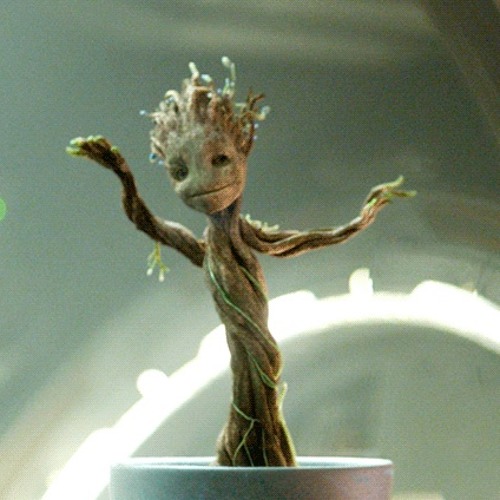 Stream Apisit Beer music | Listen to songs, albums, playlists for free on SoundCloud