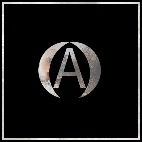 Stream Adam Carter music | Listen to songs, albums, playlists for free ...