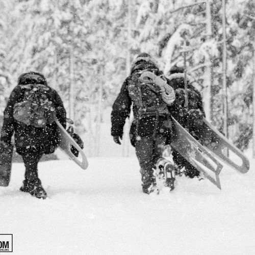 Stream Rex Craft music | Listen to songs, albums, playlists for free on ...