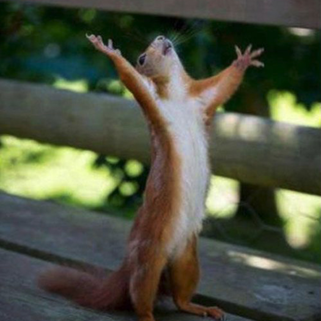 Stream hjKo music | Listen to songs, albums, playlists for free on ...