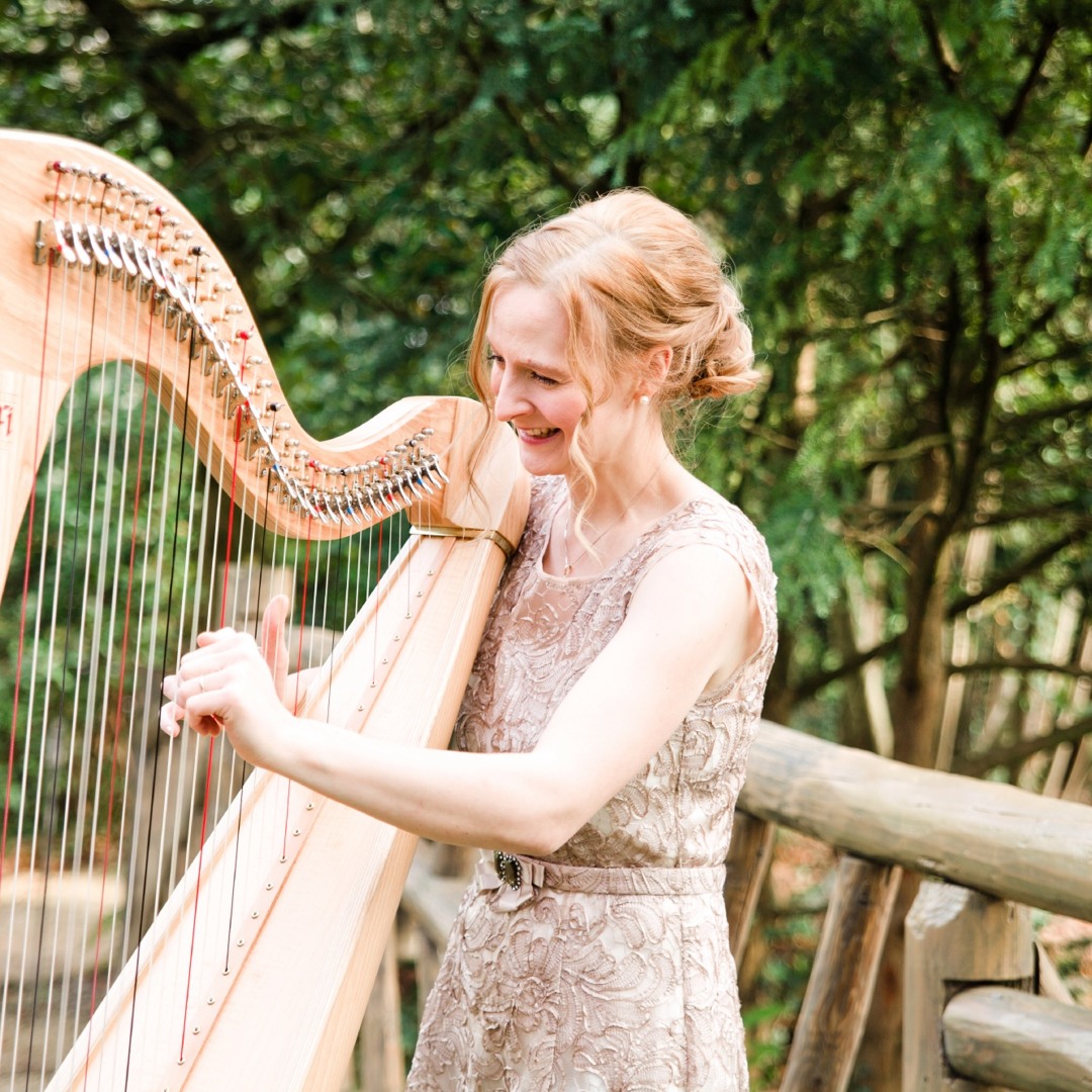 Stream Wicked - Defying Gravity harp cover by Angharad James Harpist ...