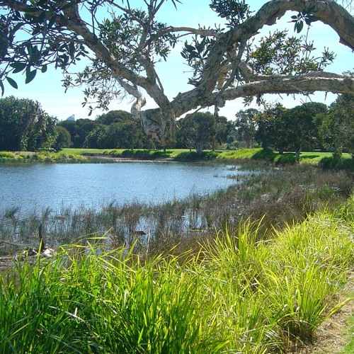 Stream Calm Earth music | Listen to songs, albums, playlists for free ...