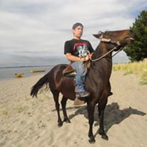 Stream Eric Alejandro Carcamo music | Listen to songs, albums ...