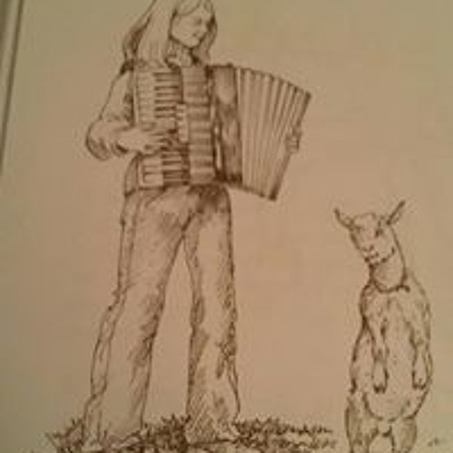 Stream Chook chook chook. What bird is it? by Rebecca Bizonet | Listen ...