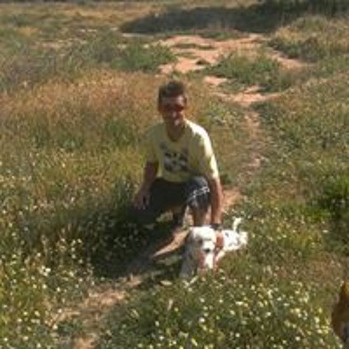 Stream Stefan Rotaru music | Listen to songs, albums, playlists for ...