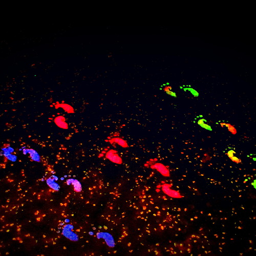 Stream Rebecca Rathbone music | Listen to songs, albums, playlists for ...