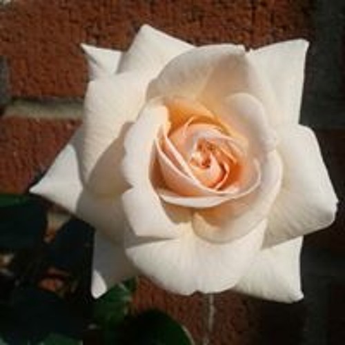 Stream Julie Simms music | Listen to songs, albums, playlists for free ...