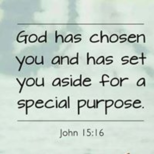 Stream Lucy Elizabeth Donlan music | Listen to songs, albums, playlists ...