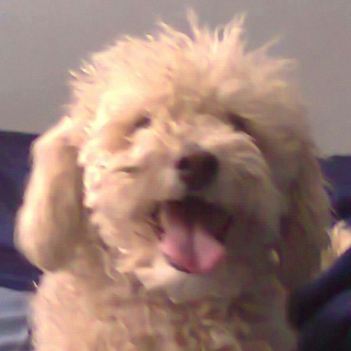 Stream ffgggg music | Listen to songs, albums, playlists for free on ...