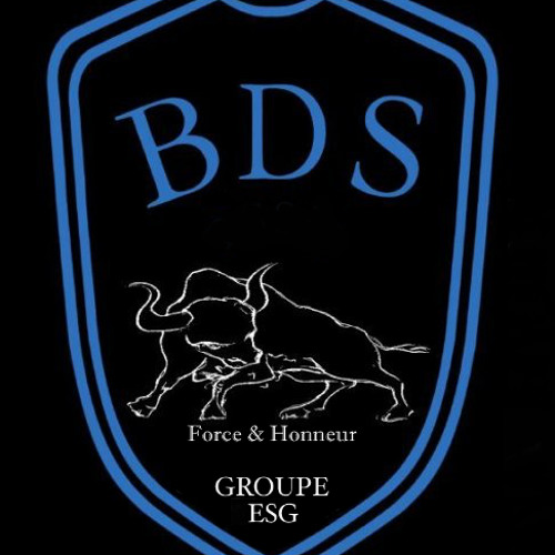 Stream BDS IMPULCIF selection music | Listen to songs, albums ...