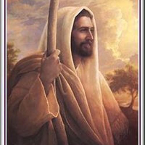 Stream Adel Nasim music | Listen to songs, albums, playlists for free ...