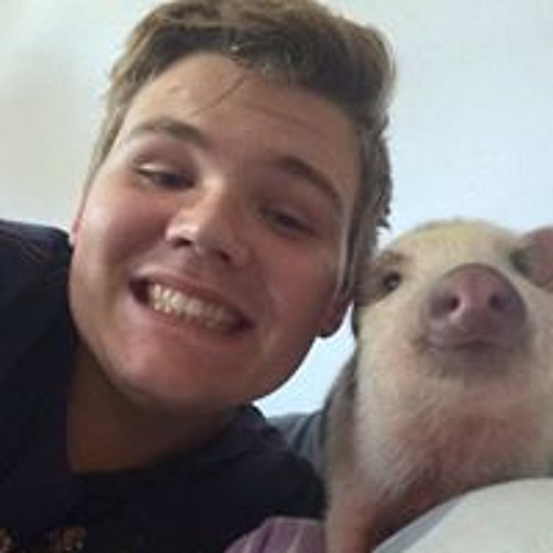 Stream Nicklas Bring Nielsen music | Listen to songs, albums, playlists ...