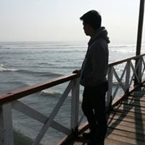 Stream Roel Angulo Torres music | Listen to songs, albums, playlists ...