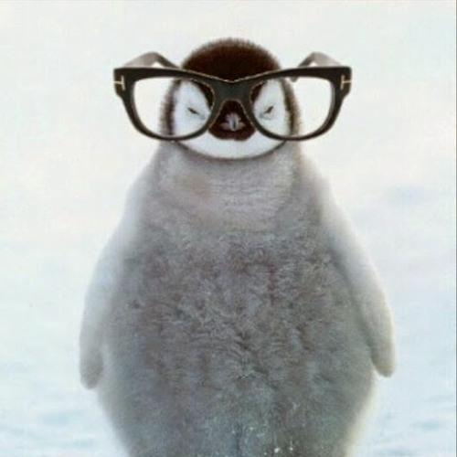 Stream Hay Hay Is A Penguin music | Listen to songs, albums, playlists ...