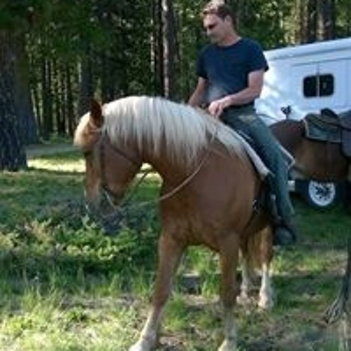 Stream Dave Fogleman music | Listen to songs, albums, playlists for ...