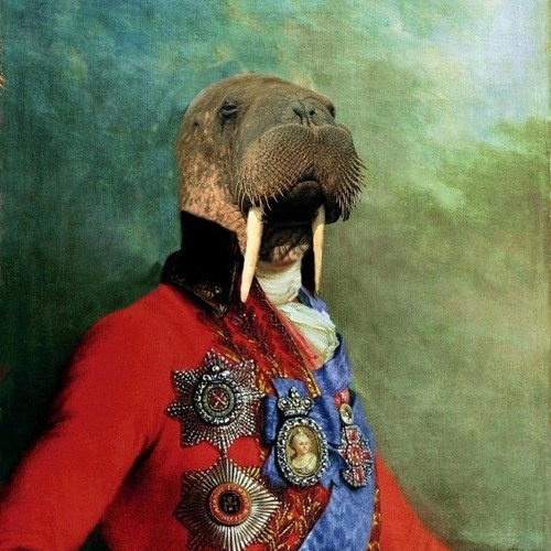 Stream Lord Walrus music | Listen to songs, albums, playlists for free ...