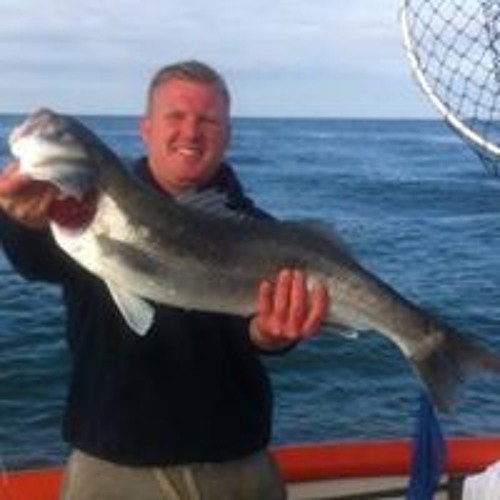 Stream Andrew Ellard music | Listen to songs, albums, playlists for ...