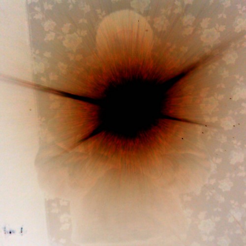 Stream fhhu music | Listen to songs, albums, playlists for free on ...