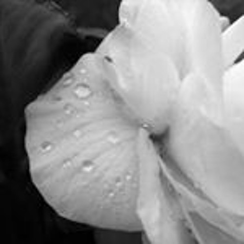 Stream Cynthia M. Williams-Perry music | Listen to songs, albums ...