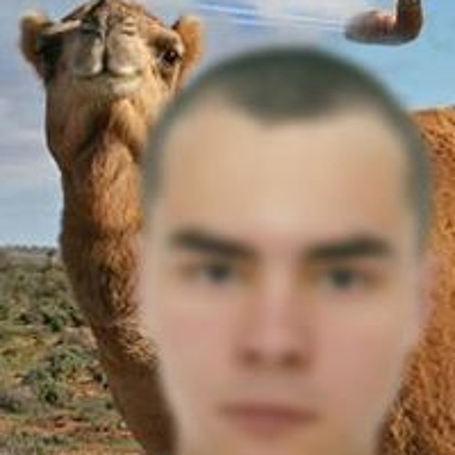 Stream One more light -Linkin Park cover by Alexei Kozlov | Listen ...