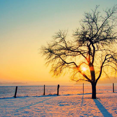 Stream Victoria Renee Raines music | Listen to songs, albums, playlists ...