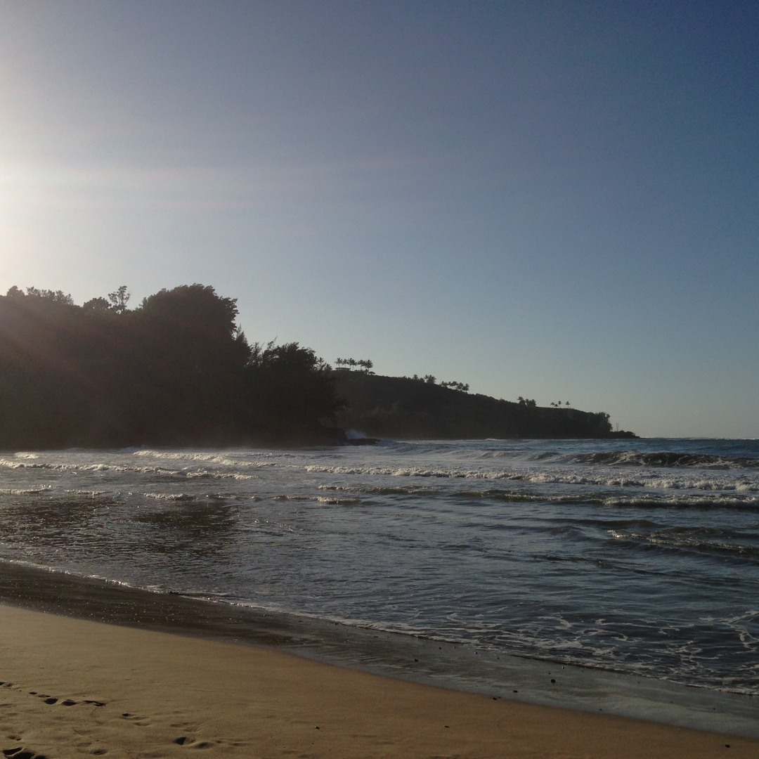 Stream Basic P Tele demo by Reddy Kilowatt | Listen online for free on ...