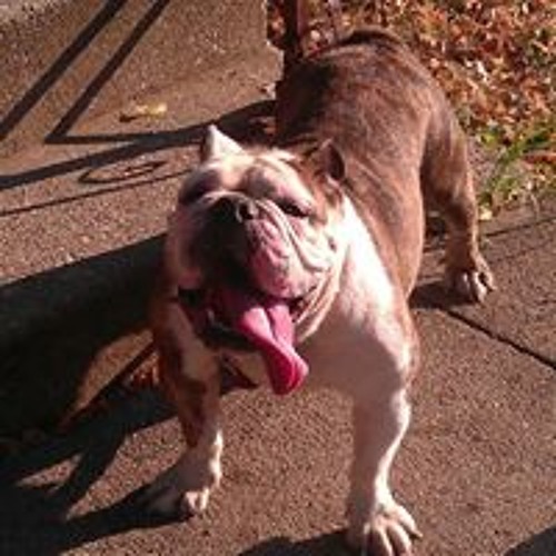 Stream Eric Crenshaw music | Listen to songs, albums, playlists for ...