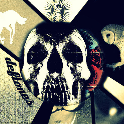 Stream Animus Invictus music | Listen to songs, albums, playlists for ...