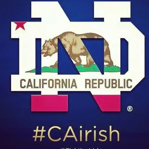 Stream counton2 music | Listen to songs, albums, playlists for free on ...