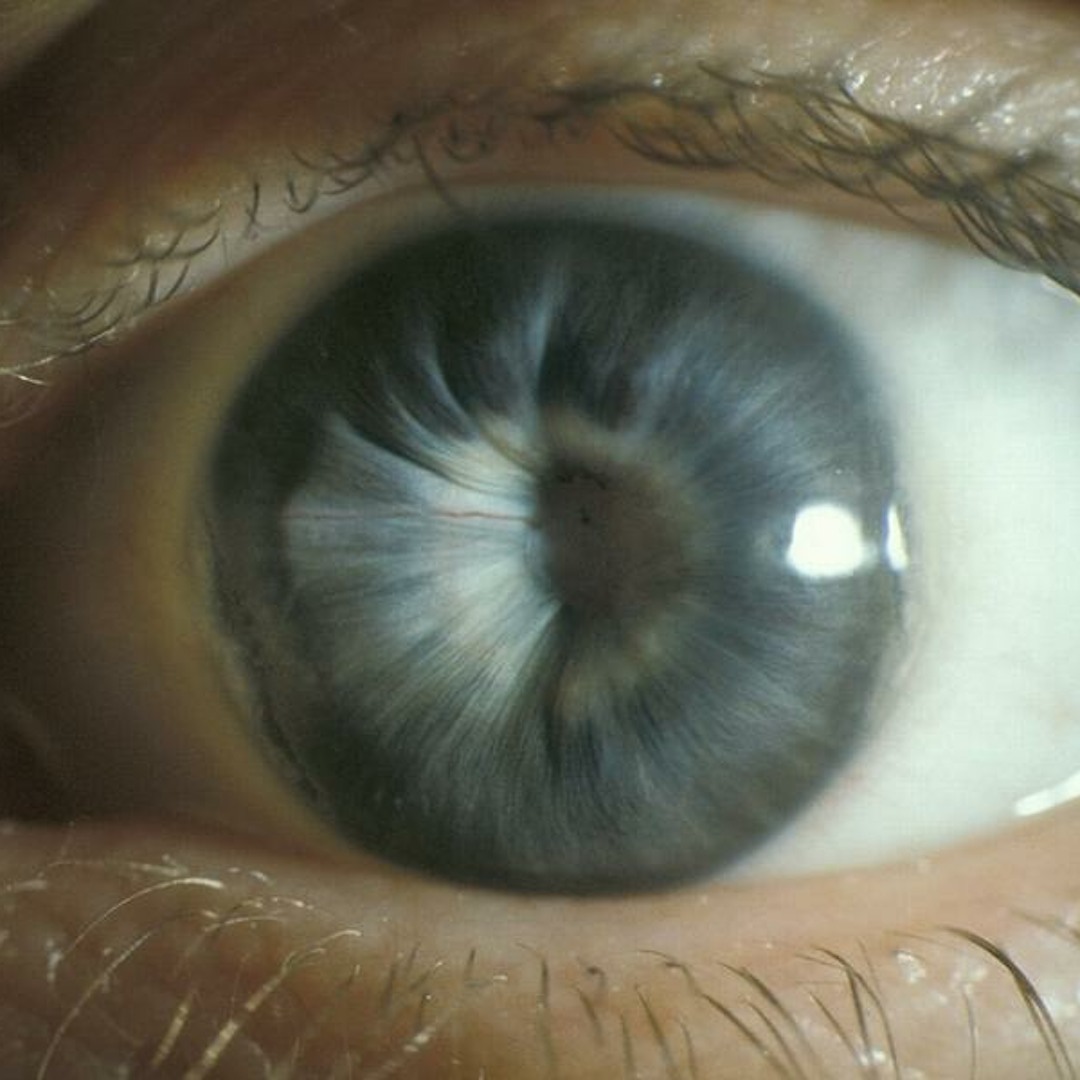 Stream llllll music | Listen to songs, albums, playlists for free on ...